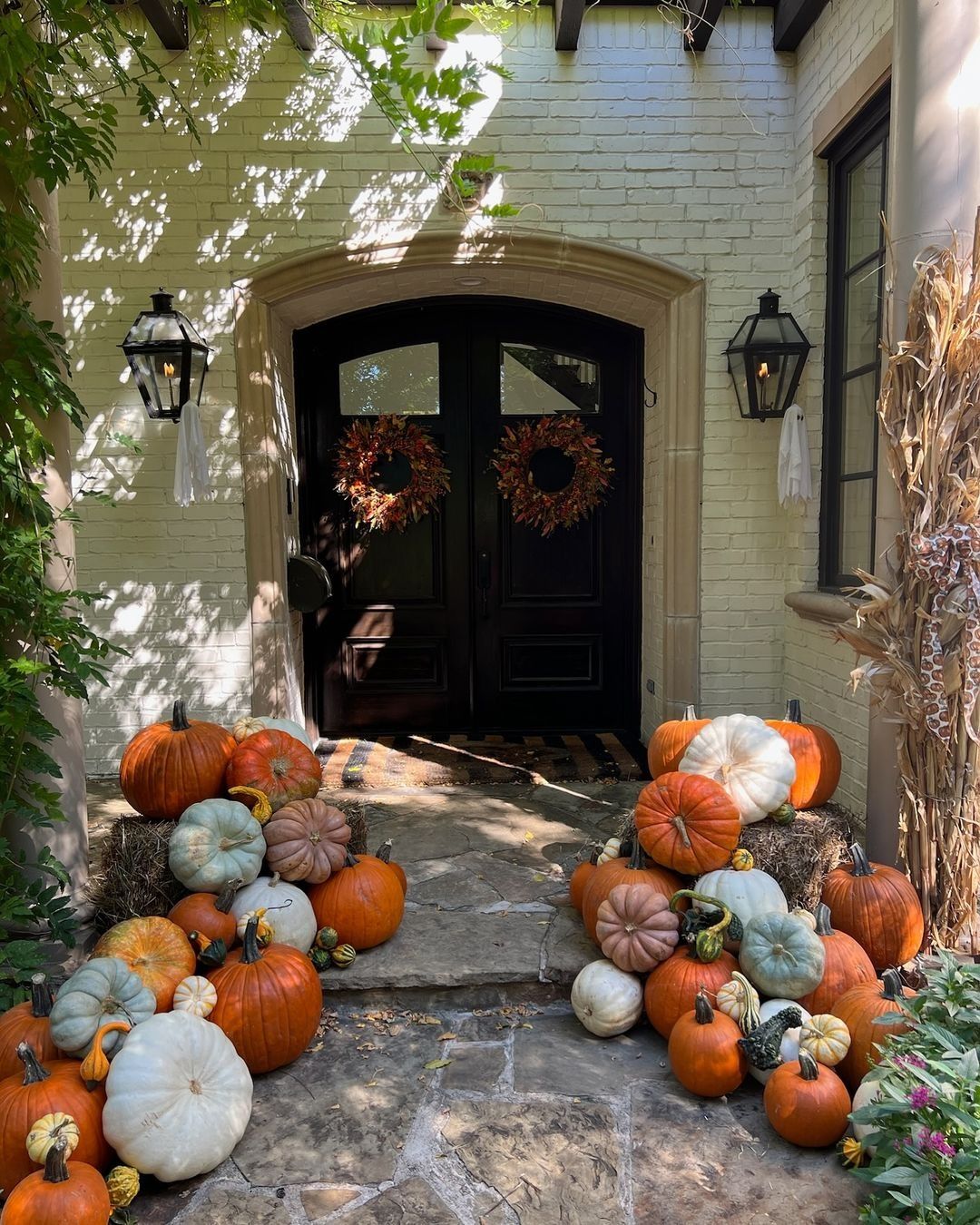 Porch Pumpkin Packages for Louisiana North Shore! Baton Rouge, Covingt ...